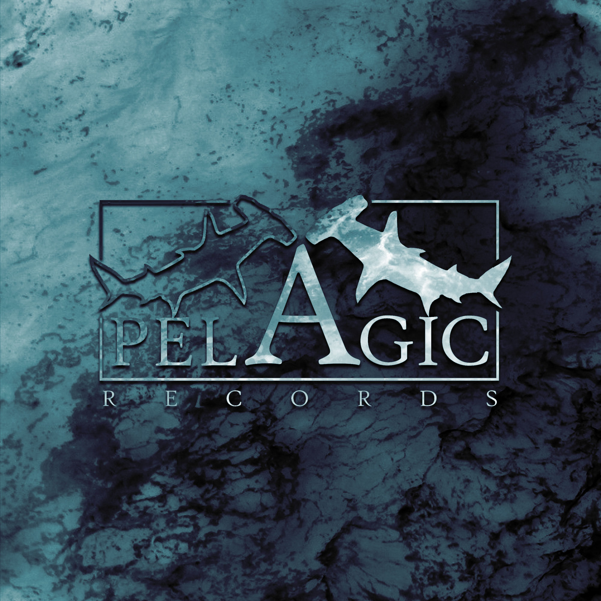 Pelagic Records @ Spotify! - Pelagic Records